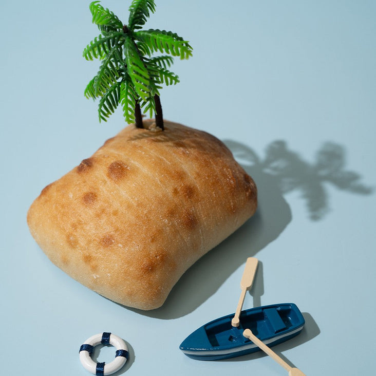 Miniature Styling Props For Photography - 2x Mini Palm Trees – Hypop