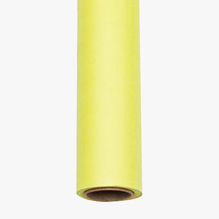 Spectrum Lemon Lime Splice Green Paper Roll Photography Studio Backdro ...